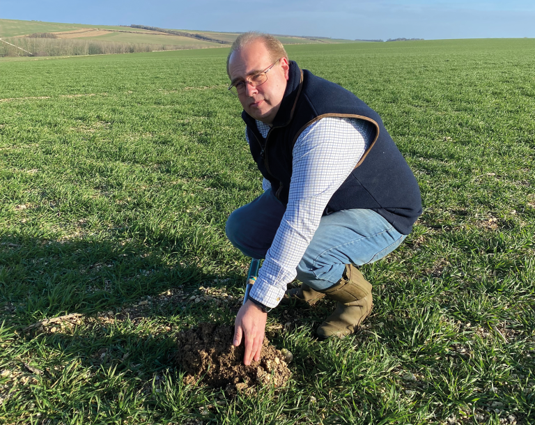 New world record wheat crop grown in Lincolnshire – Anglia Farmer Magazine