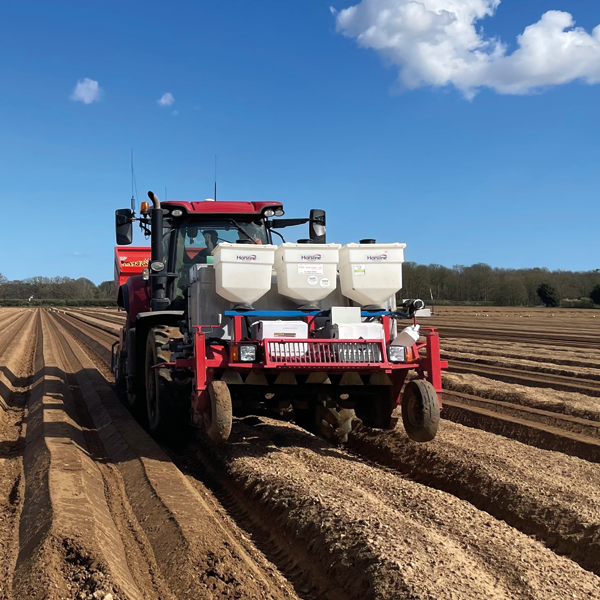 Family farm with strong Suffolk roots - Anglia Farmer Magazine