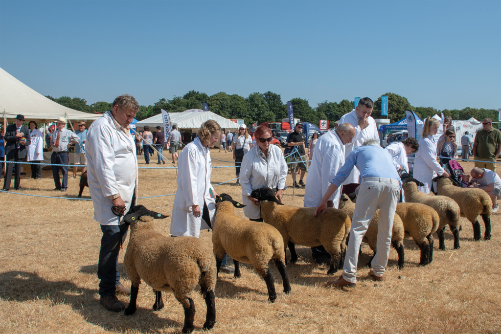 Tendring Show celebrates creativity in the countryside – Anglia Farmer ...