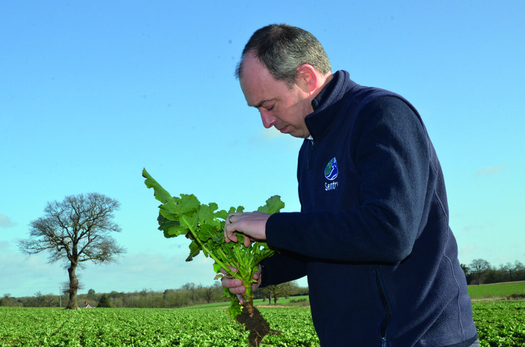 Fast-paced changes prompt fresh furrow future for farming – Anglia ...