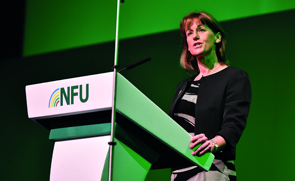 Red Tractor scheme faces ‘value for money’ probe – Anglia Farmer Magazine