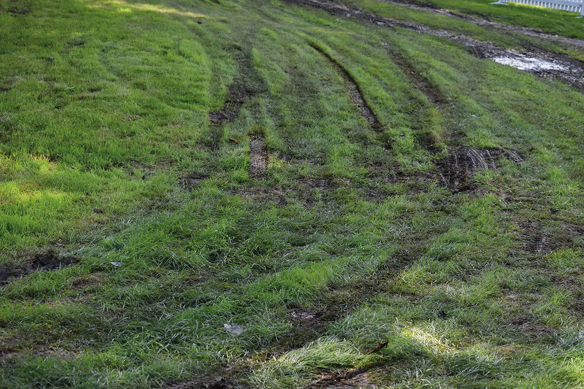 Have your say on hare coursing penalties – Anglia Farmer Magazine