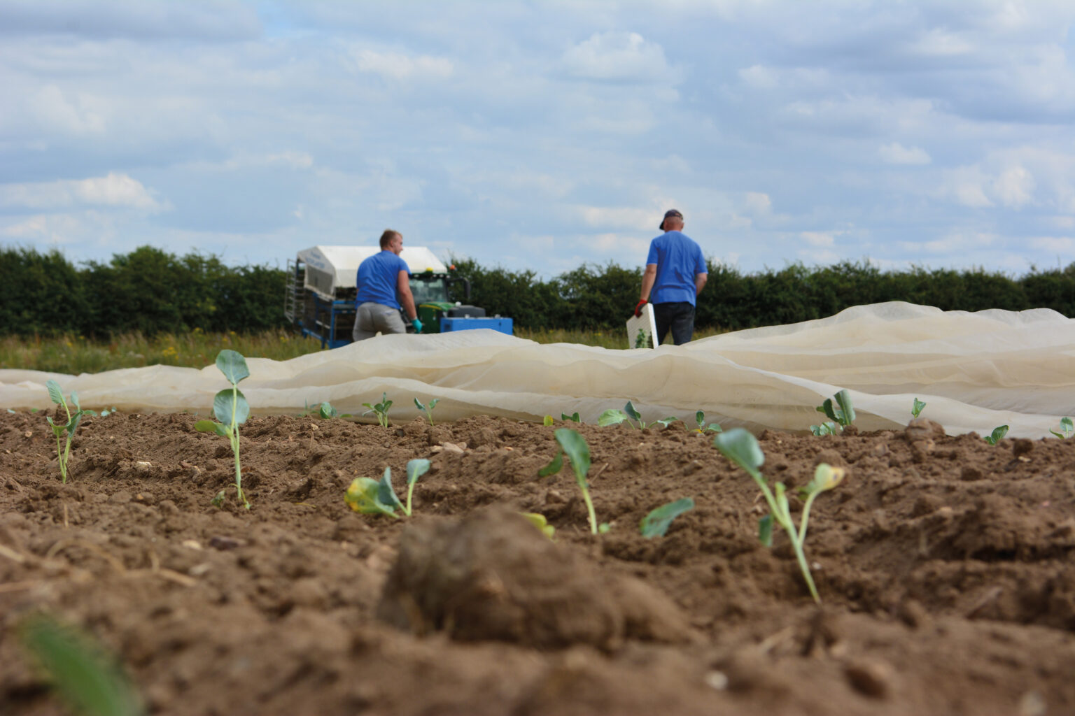 Labour shortages and tech reshape farming – Anglia Farmer Magazine