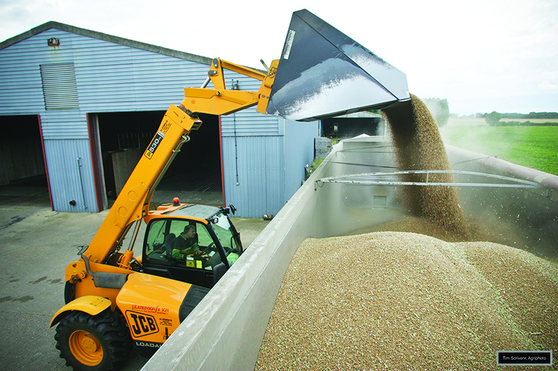 Plan grain marketing now for the year ahead – Anglia Farmer Magazine